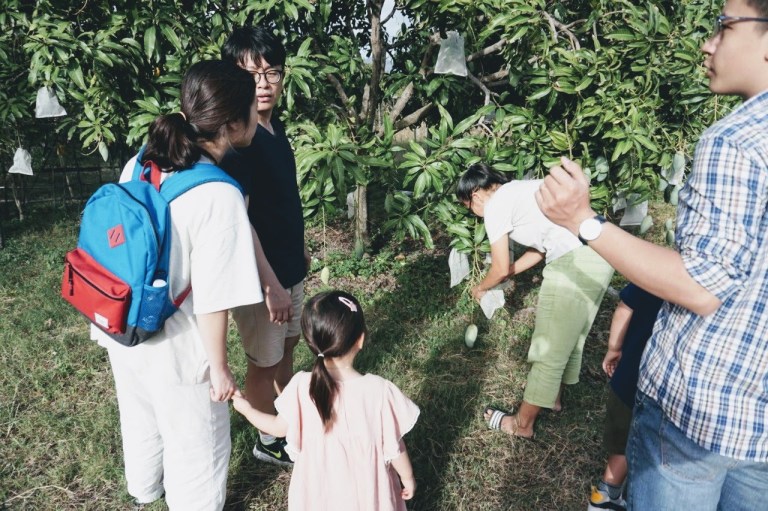 VISIT MANGO FARM TOUR – CHẠM KHÁNH HOÀ