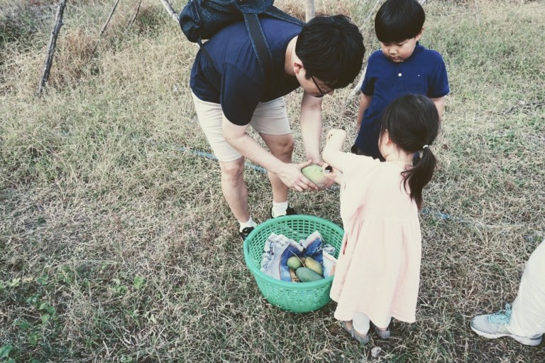 VISIT MANGO FARM TOUR – CHẠM KHÁNH HOÀ