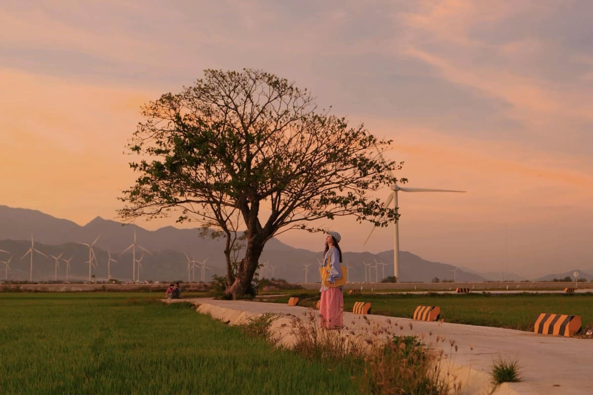 KHÁM PHÁ CÁNH ĐỒNG ĐIỆN GIÓ ĐẦM NẠI TẠI KHÁNH HÒA – CHẠM KHÁNH HOÀ